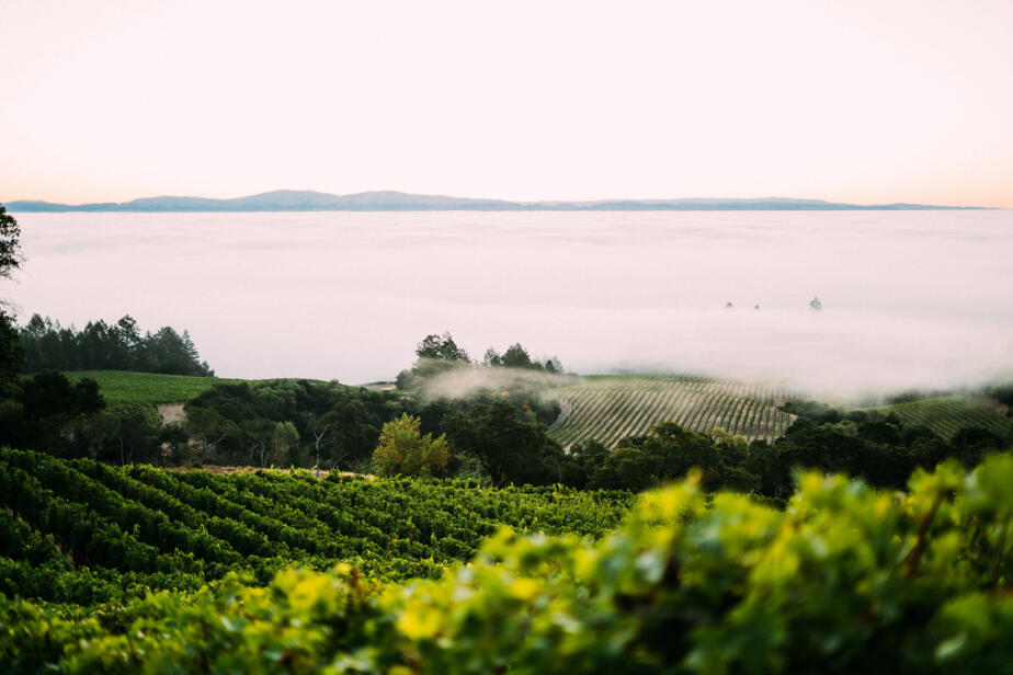 Napa Valley Wine | CROSSROADS by Rudd | Organic Winery – Organically ...