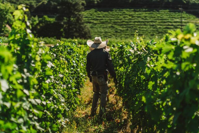 Napa Valley Wine | CROSSROADS by Rudd | Organic Winery – Organically ...